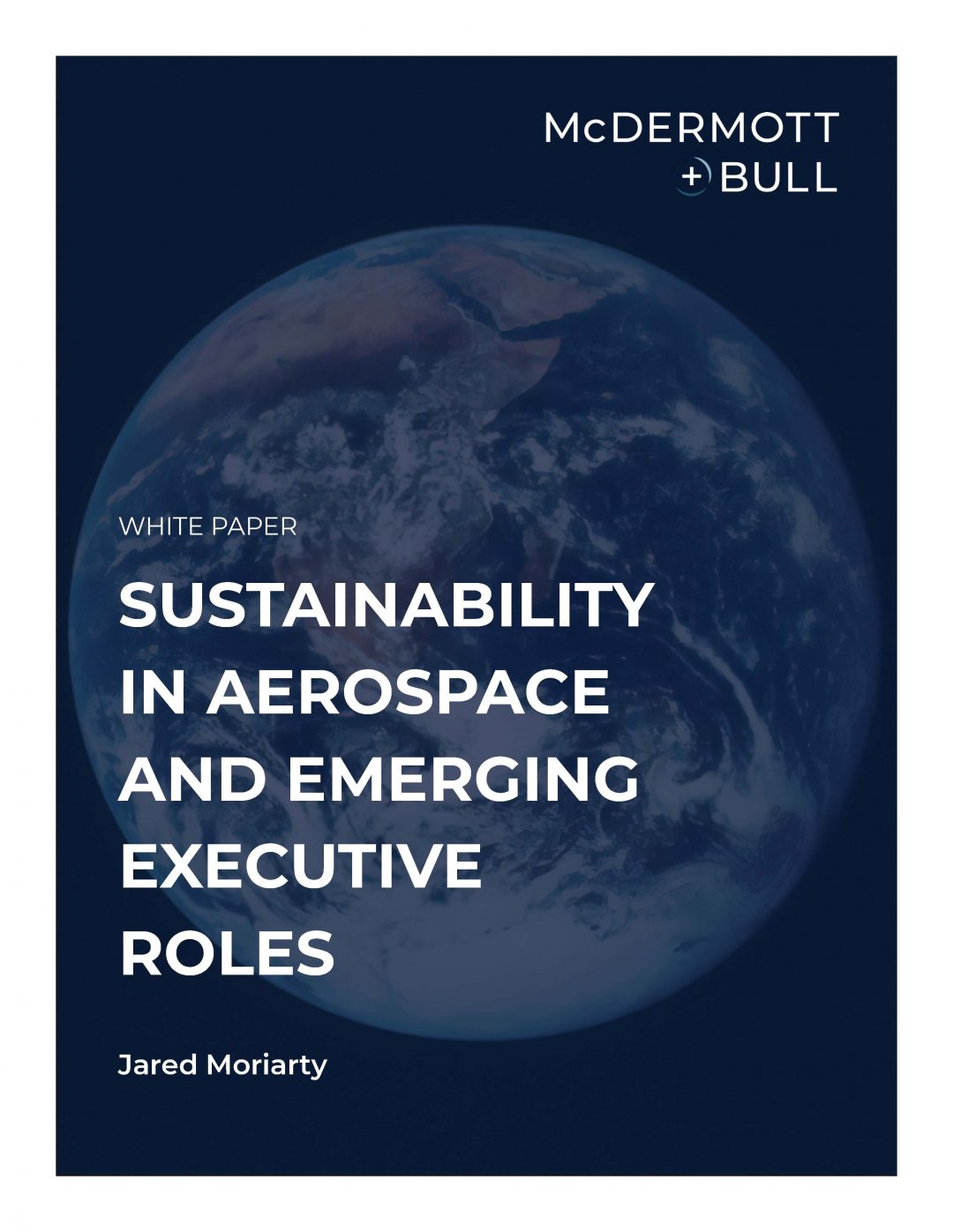 White Paper: Sustainability in Aerospace + Emerging Executive Roles ...